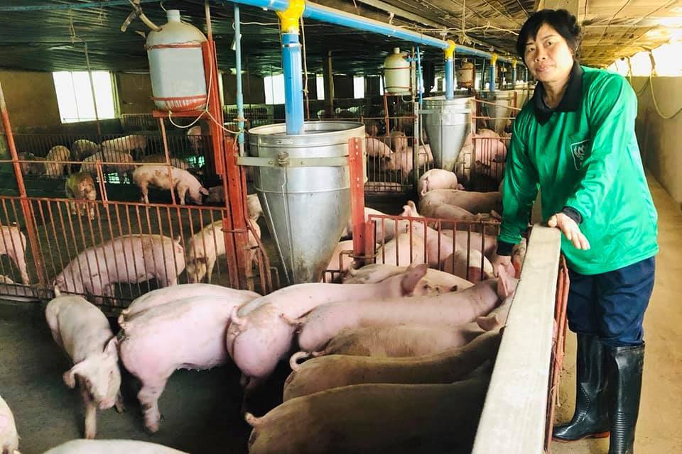 เลี้ยงหมูอารมณ์ดี ที่ “จีระวรรณฟาร์ม” สำเร็จจากคอนแทรคฟาร์ม – CPF FEED