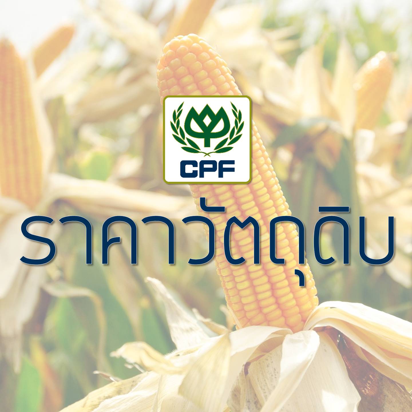 CPF FEED – CPF Feed Marketing Bureau