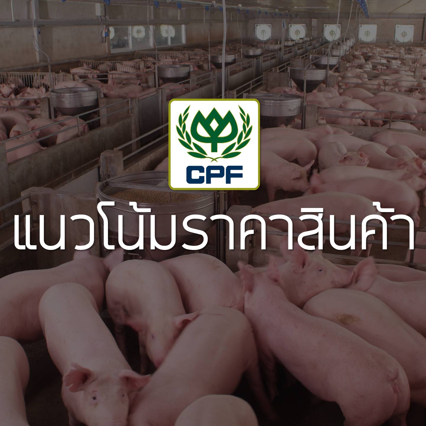 CPF FEED – CPF Feed Marketing Bureau